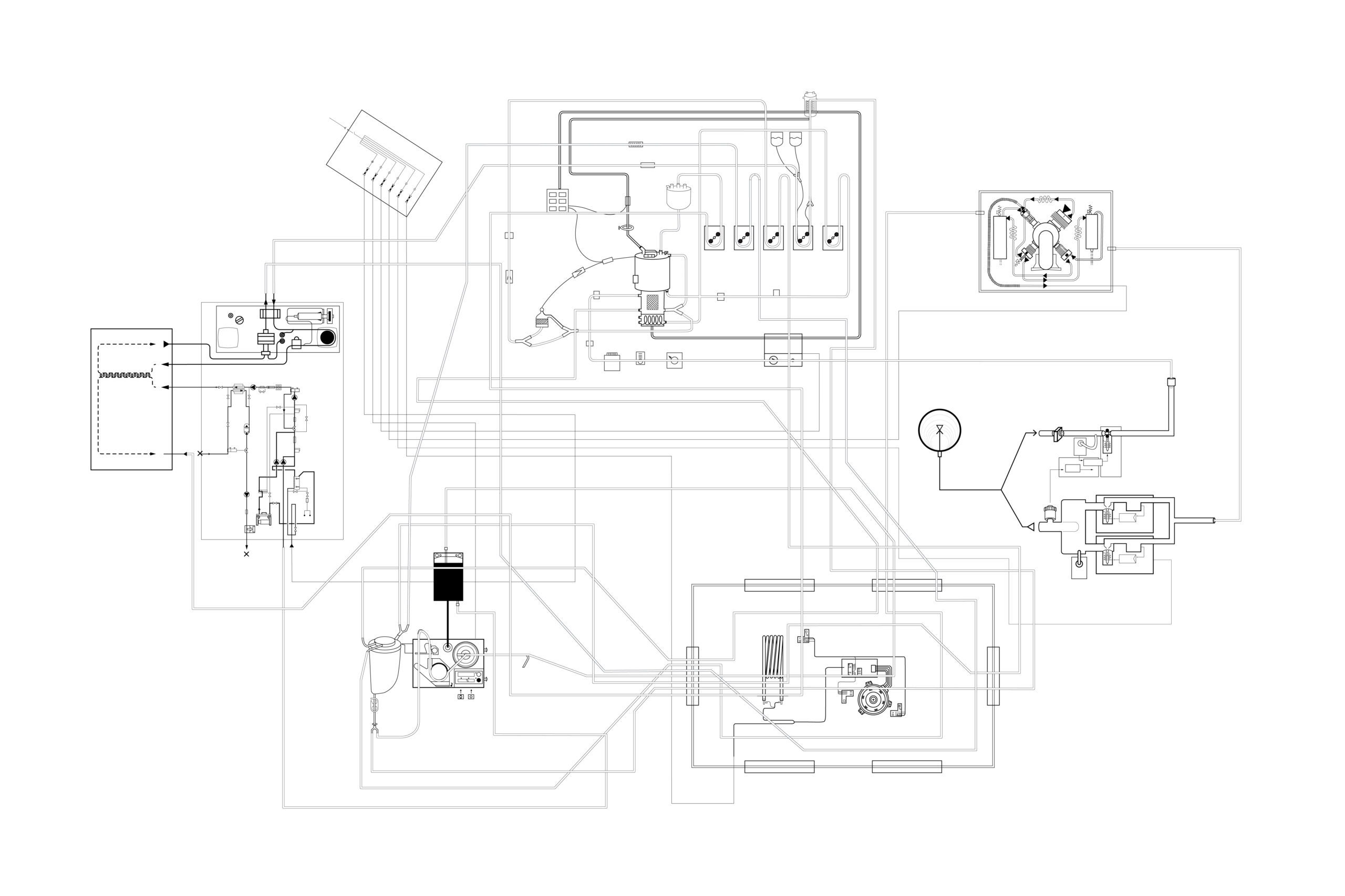 Immortaldrawing | Faculty of Liberal Arts & Professional Studies
